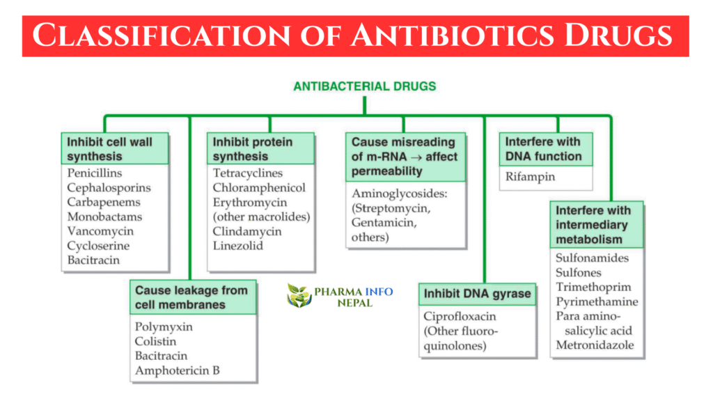 Classification of Antibiotics Based on Mechanism of Action